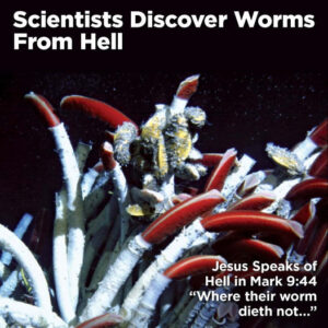 Worms from Hell – “Where their Worm dieth not…